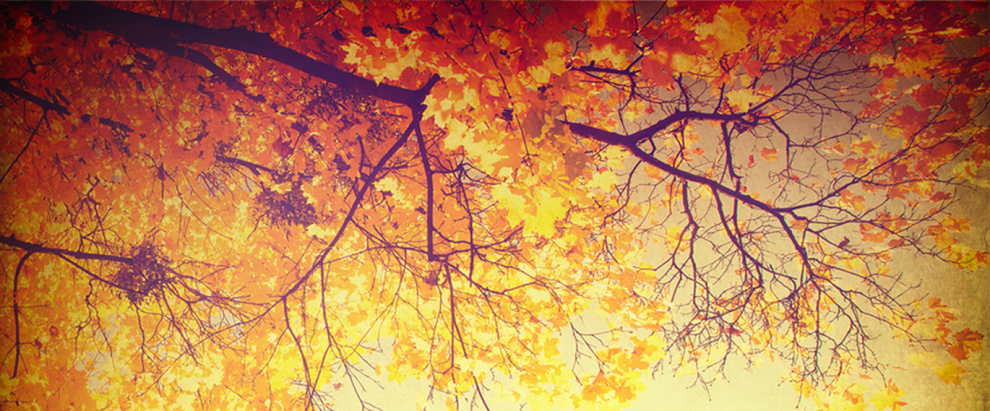 Zimmerman's Ace Hardware: John Deere, Stihl & Toro Dealer: Silver ...